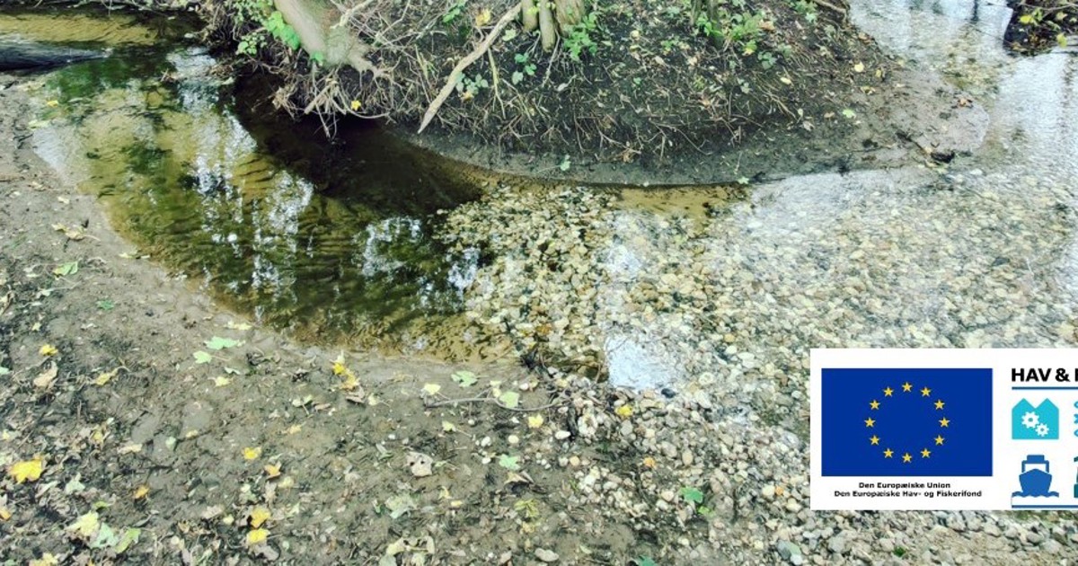 Maglemose Å - Roskilde Kommune